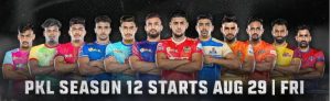 Pro Kabaddi League 2025 Season 12 Dabang Delhi K.C. Won Title