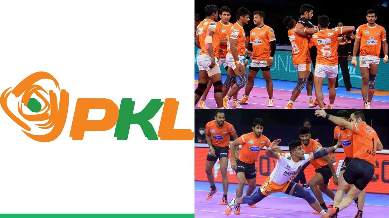 Puneri Paltan Team (2025) – Squad List, Captain & Records